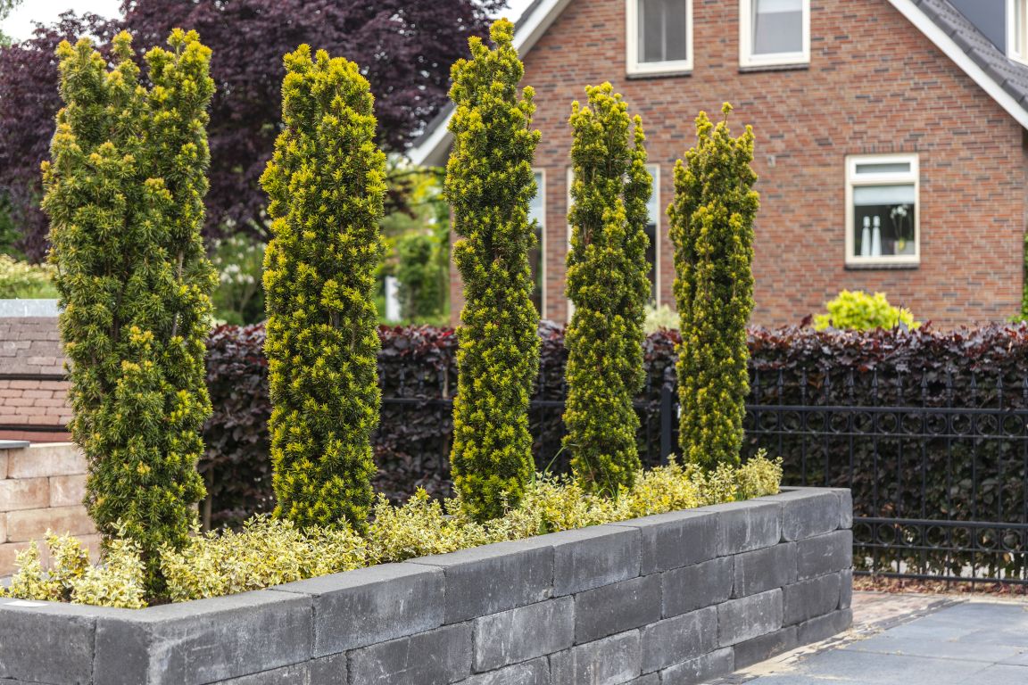 Blockstone black 15x15x60cm | Steenbergen Sierbestrating